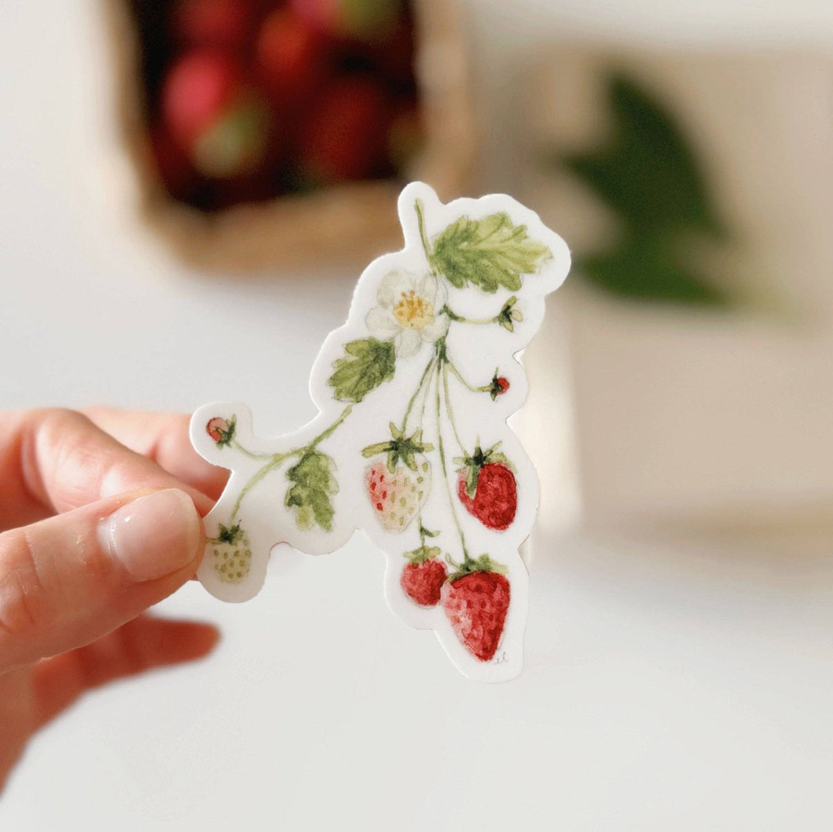Strawberry sticker | Lake And Laurel Company
